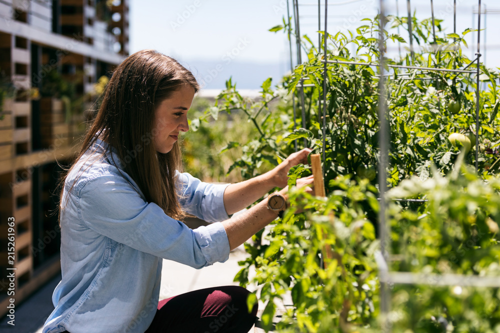 Workspace: Businesswoman Takes A Break To Work In Rooftop Garden Stock ...