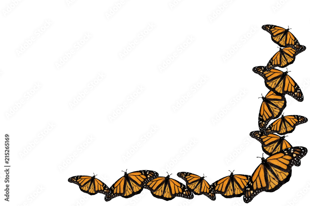 Monarch Butterflies Watercolor Style Border Stock Illustration | Adobe ...