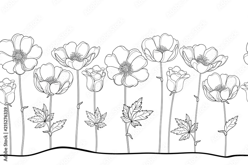 Summer Border Black And White