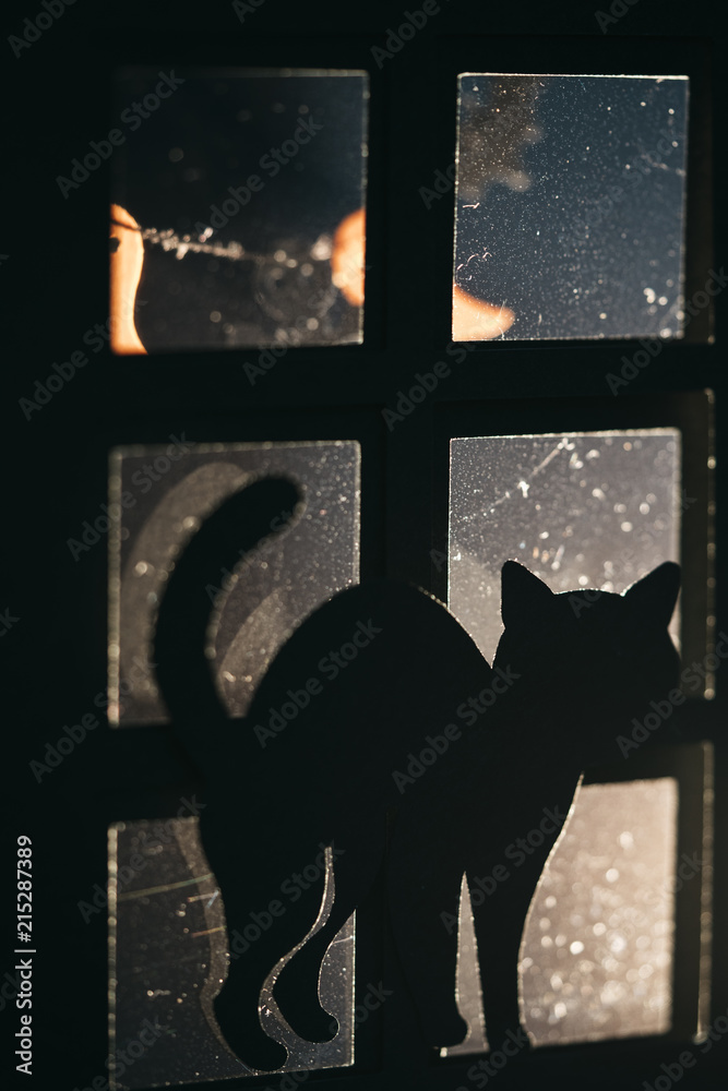 Cat by the window in a spooky scene Stock Photo | Adobe Stock
