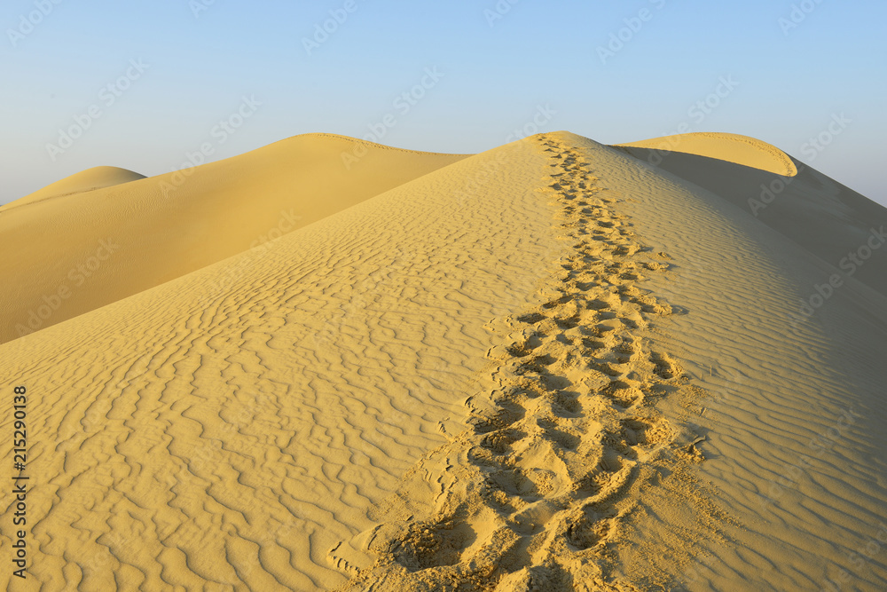 Africa Libyan Desert