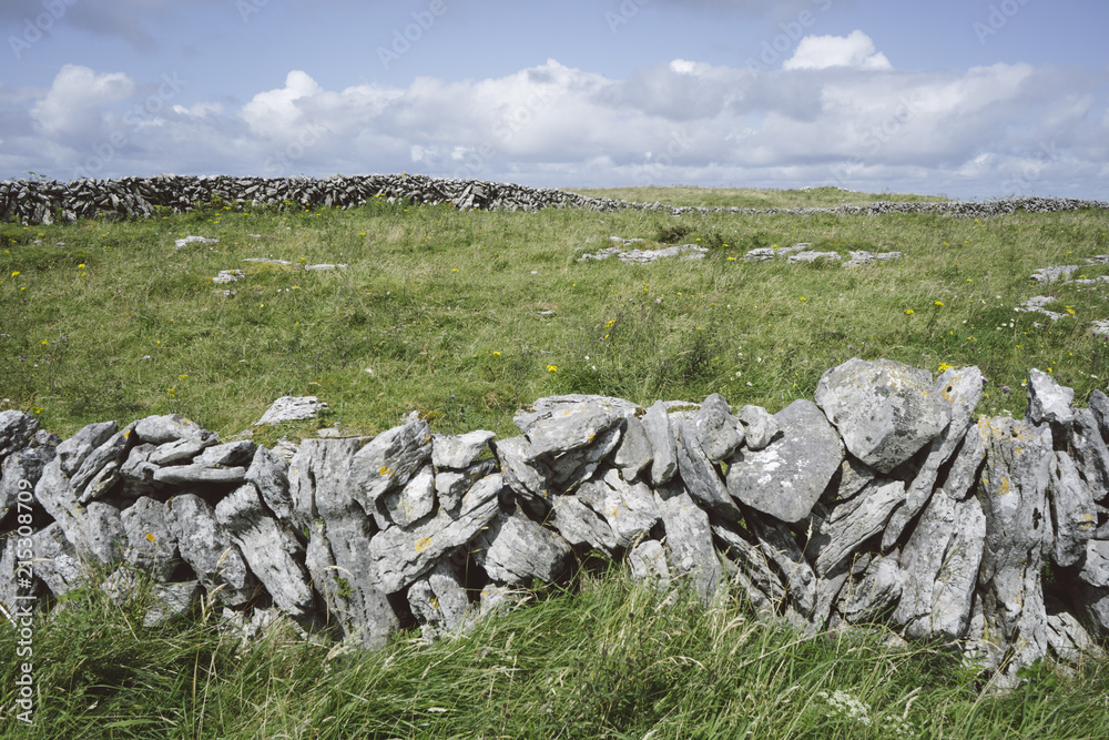Footpaths and stone walls along the Burren Way, County Clare, Ireland ...