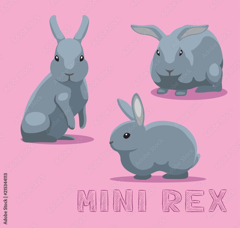 Rabbit Mini Rex Cartoon Vector Illustration Stock Vector | Adobe Stock