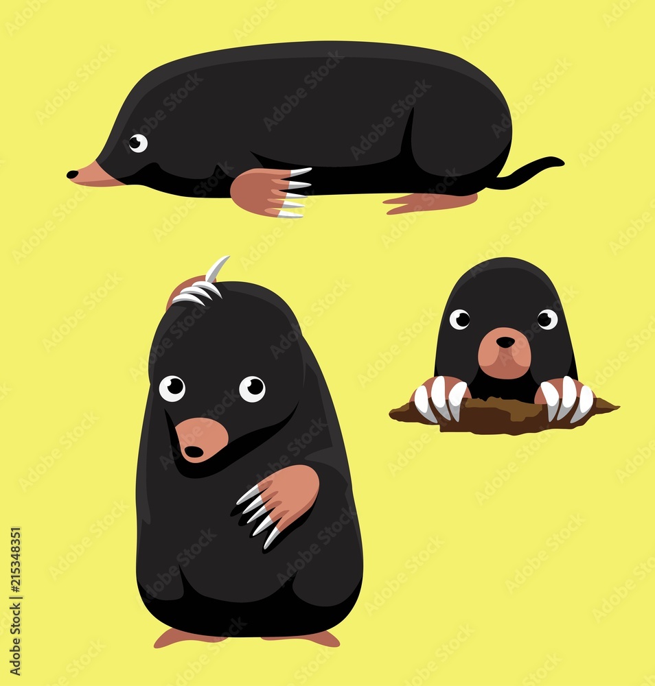 Cute Mole Poses Cartoon Vector Illustration Stock Vector | Adobe Stock