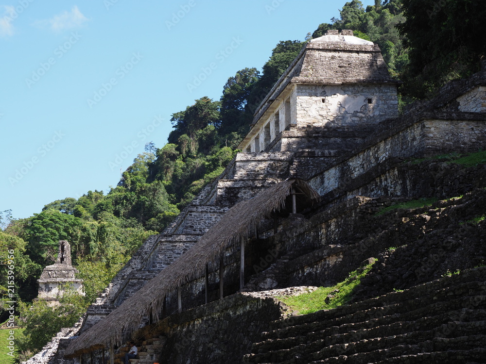 Famous stony pyramid at ancient mayan National Park of Palenque city at ...