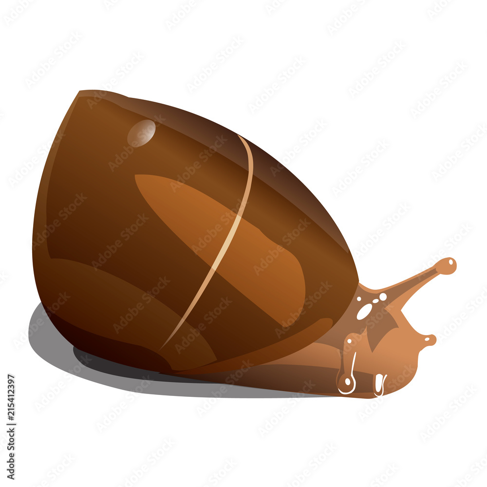 brown river snail on white background isolate Stock Illustration ...