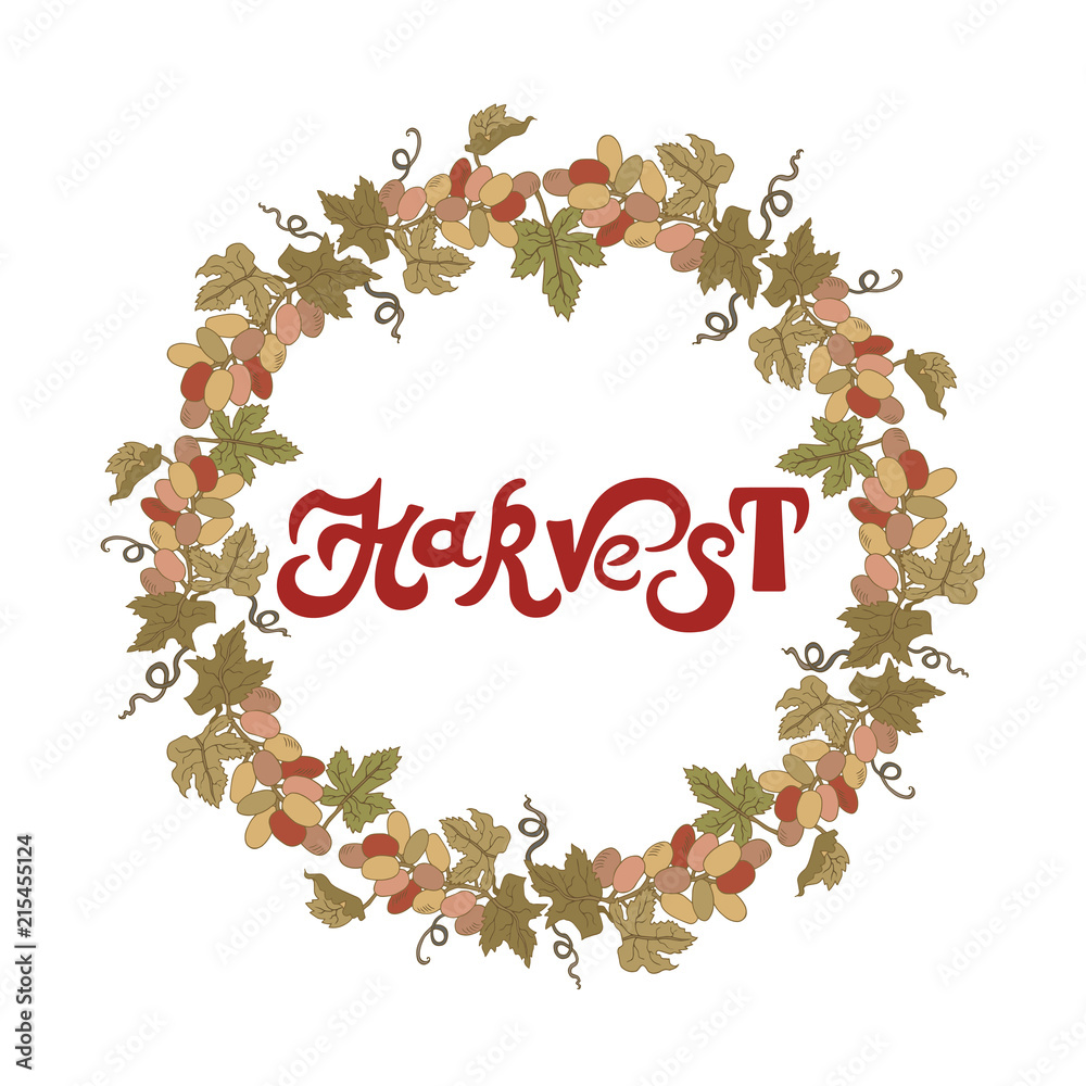 Harvest text with grapes wreath. Handwritten lettering Harvest as logo ...