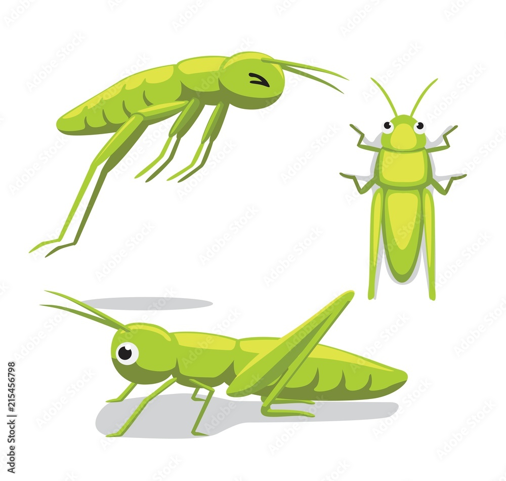 Clipart Grasshopper