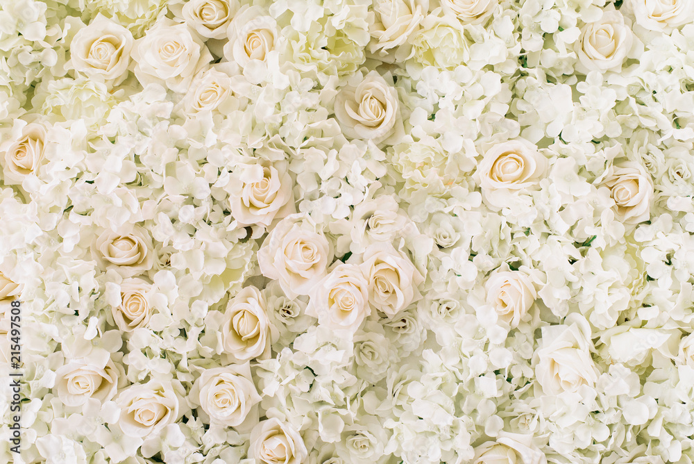 Cream Roses Background