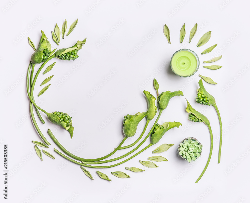 Green botanical flat lay with copy space. Leaves , succulent plants ...