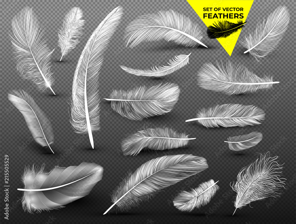 Set of falling white fluffy twirled feathers on in realistic style ...