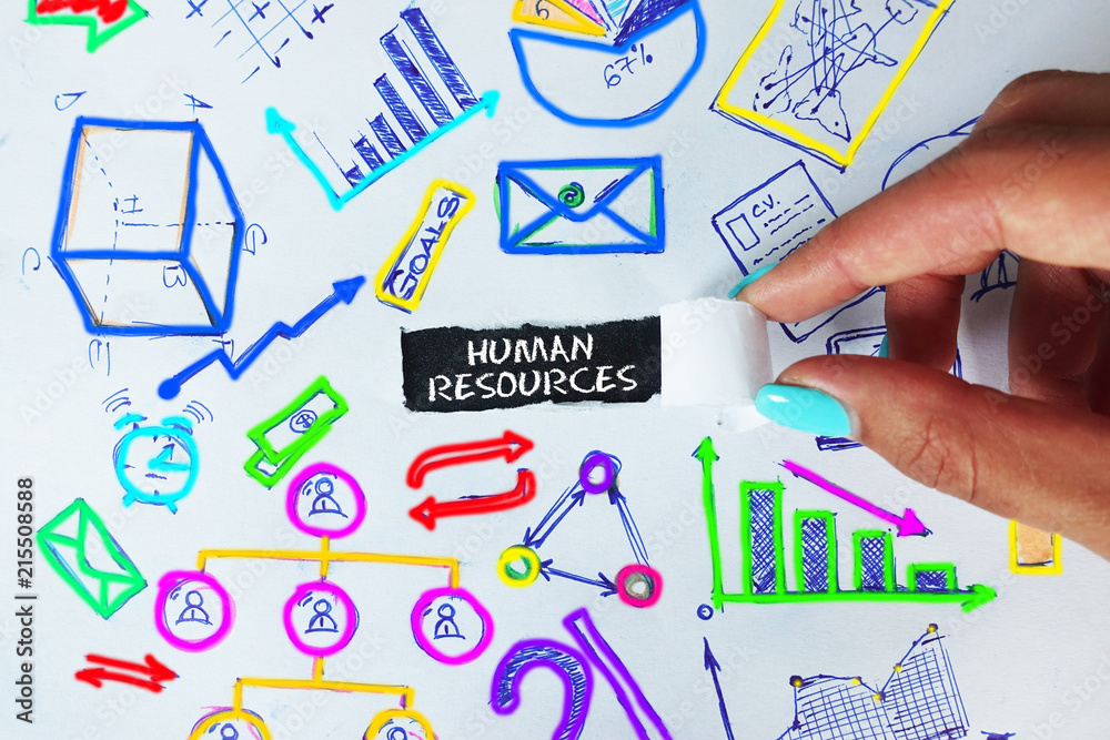 Human resources concept with sketches and hand drawings on white paper ...