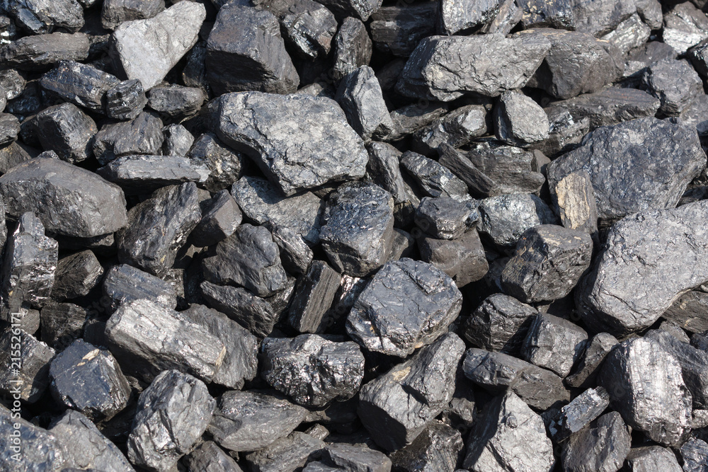 Bituminous Coal