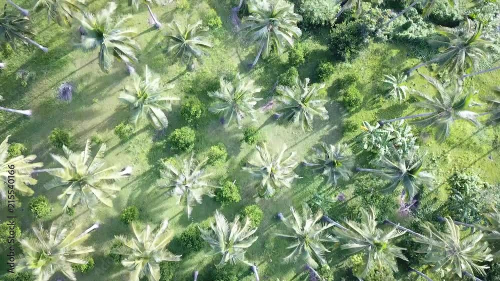 AERIAL SHOT: Puro and Lamba, Legazpi City, Philippines. Views of ...
