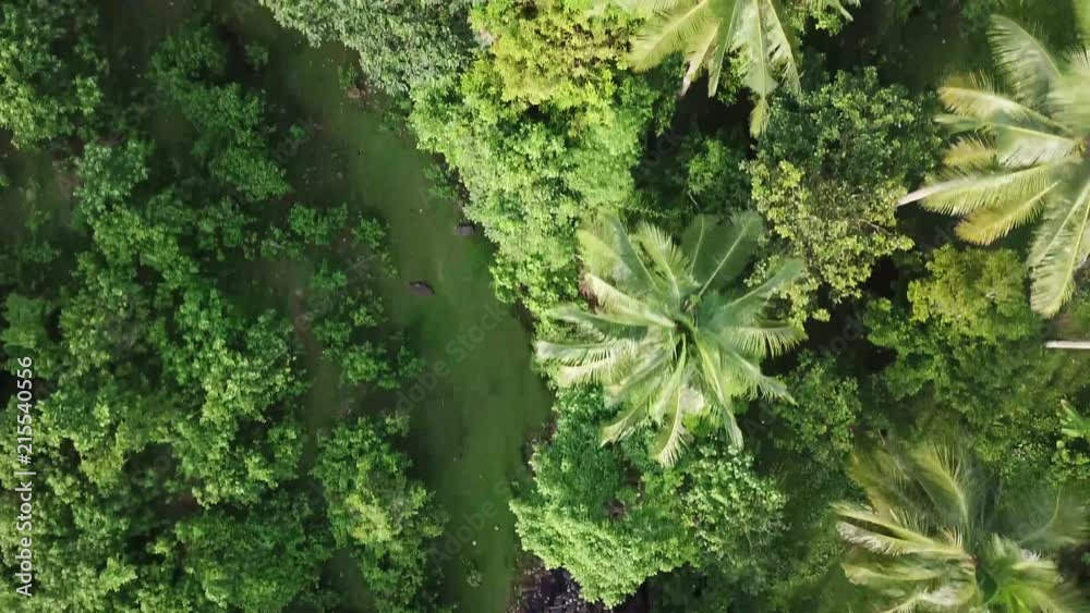 AERIAL SHOT: Puro and Lamba, Legazpi City, Philippines. Views of ...