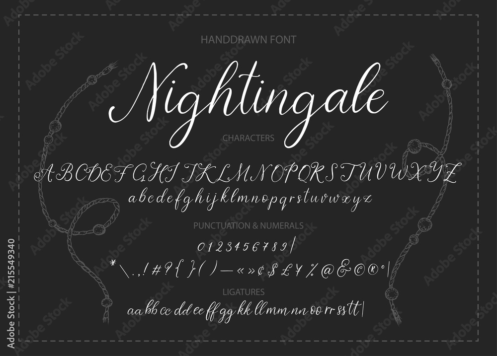 Nightingale. Handdrawn calligraphic vector font. Modern gentle ...
