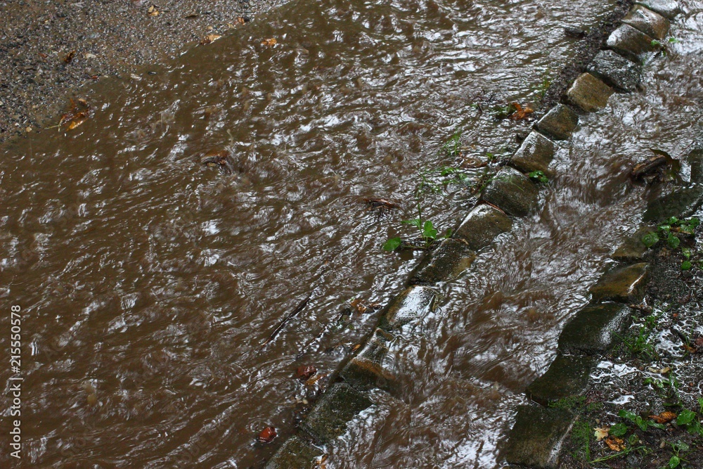 Poster Flow of water during heavy rain and showers – Wall Art | UkPosters