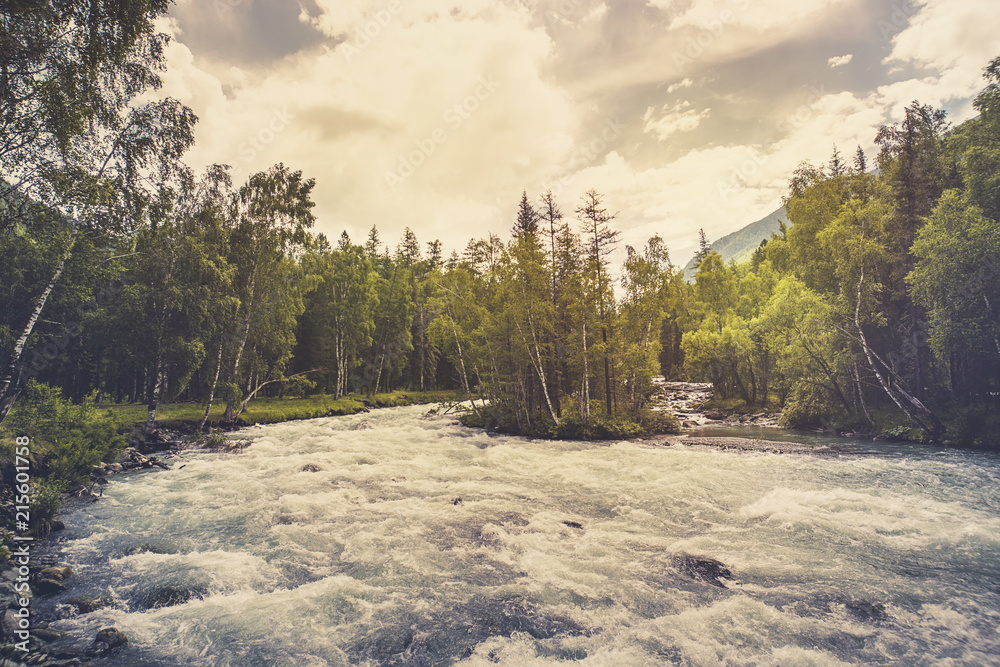 Beautiful river in forest nature. Peaceful toned nature background ...