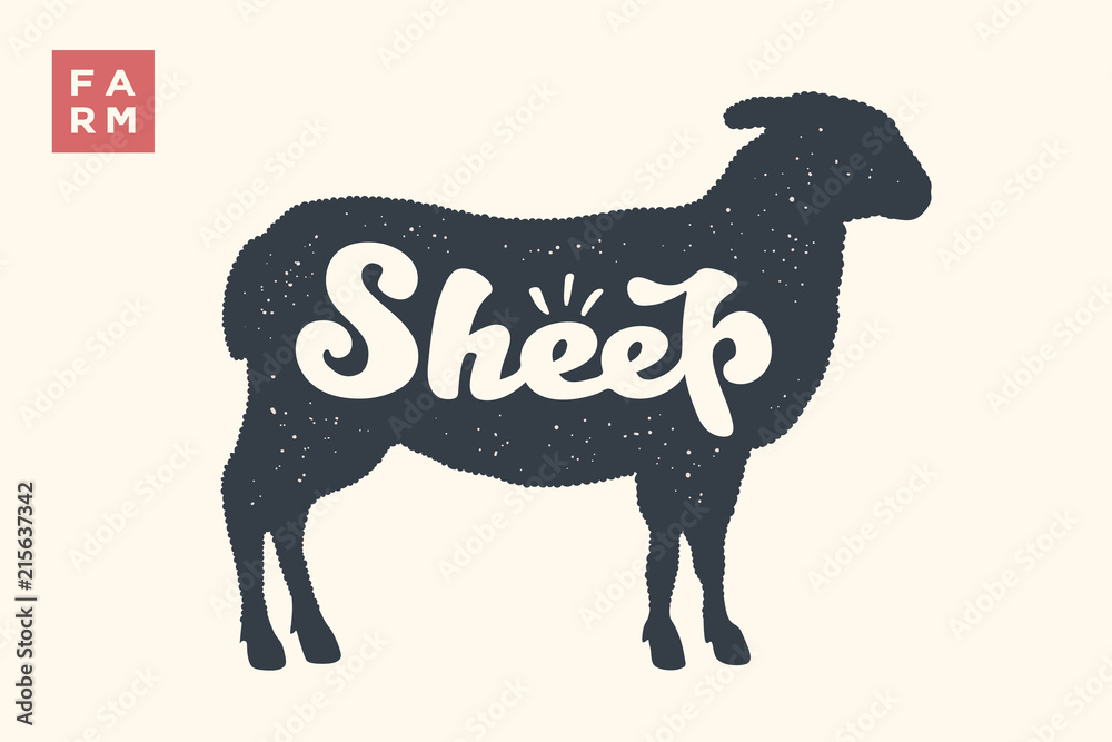 Sheep. Lettering, typography. Animal silhoutte sheep or lamb and ...