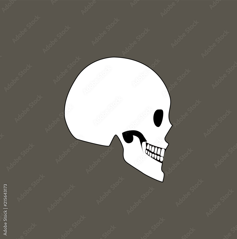Skull of Human Profile View Vector Illustration Stock Vector | Adobe Stock