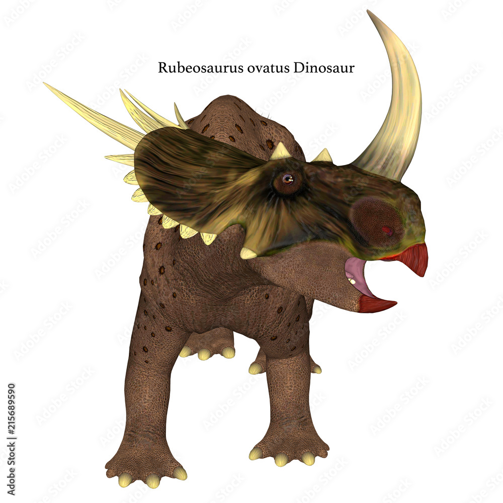Rubeosaurus Dinosaur on White with Font - Rubeosaurus was a Ceratopsian ...