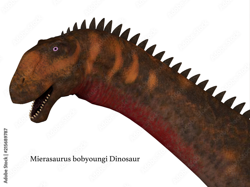 Mierasaurus Dinosaur Head with Font - Mierasaurus was a herbivorous ...