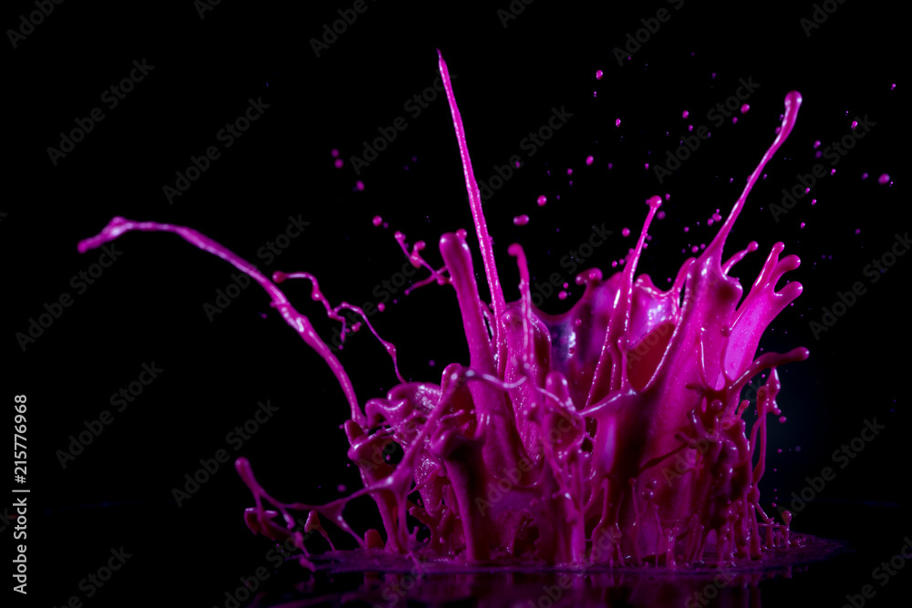 Magenta, pink paint, ink splash on black background Stock Photo | Adobe ...