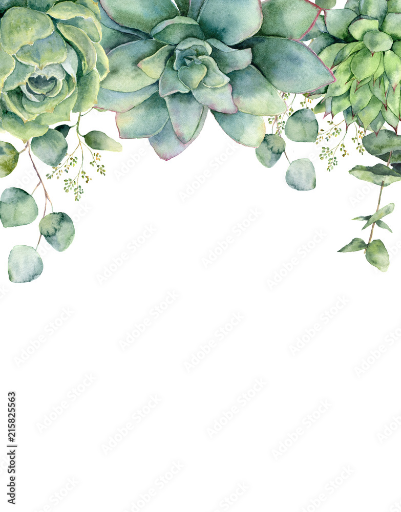 Watercolor card with succulents and eucalyptus leaves. Hand painted ...