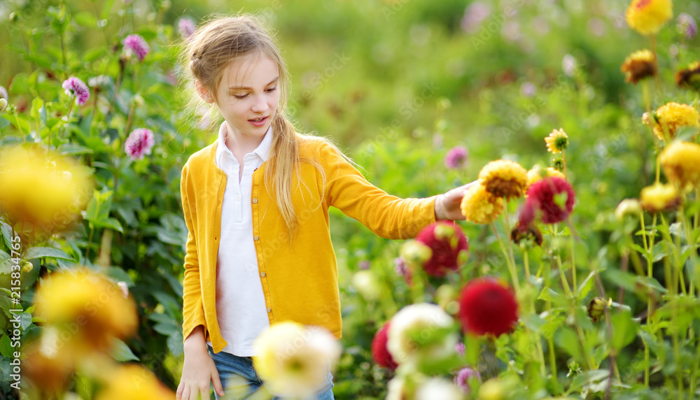 Cute little girl playing in blossoming dahlia field. Child picking ...