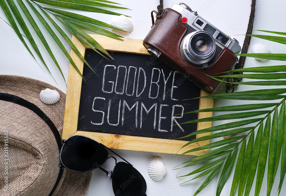 Goodbye Summer Text. Sunglasses, Fedora Hat, Palm Leaf, Camera, Sea ...