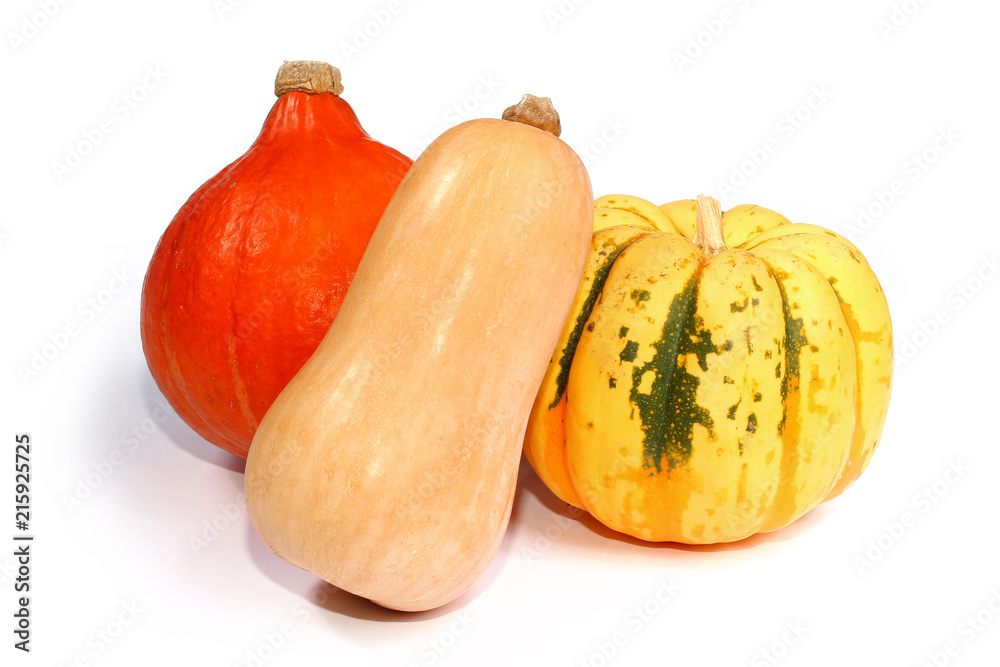 Courges, coloquintes, cucurbitacées. Fond blanc Stock Photo | Adobe Stock