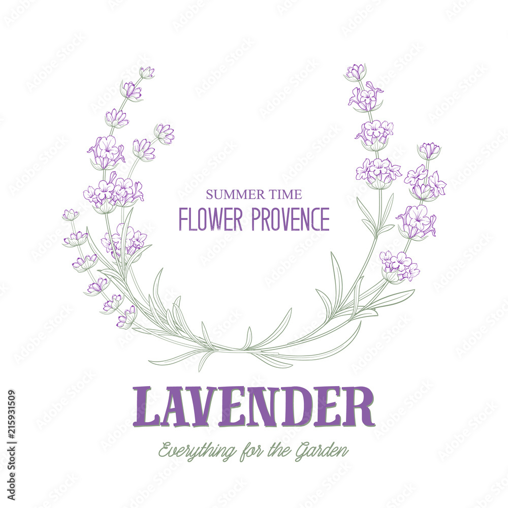The lavender elegant card with frame of flowers and text. Lavender ...