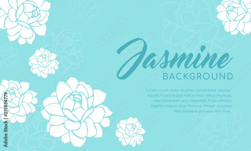 Jasmine flower background vector illustration. White Jasmine on blue ...