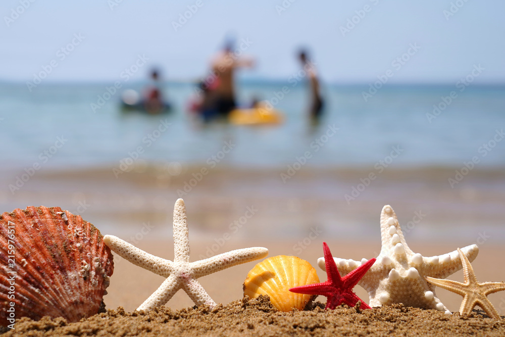 Starfishes, sea shells on beach sand and people swimming in the sea ...