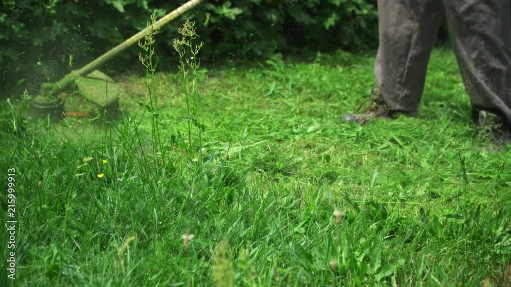 Brushcutter machine slashing grass weeds in a pattern, operated by a ...