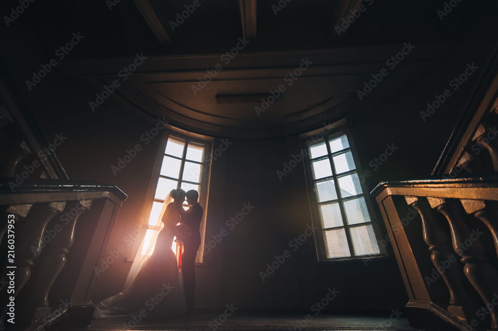 Beautiful newlyweds embrace in a chic palace, against the backdrop of a ...