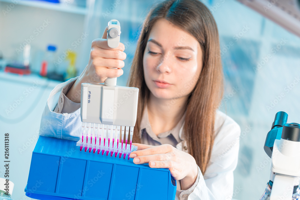 student woman with multi pipette and other PCR items in microbiological ...