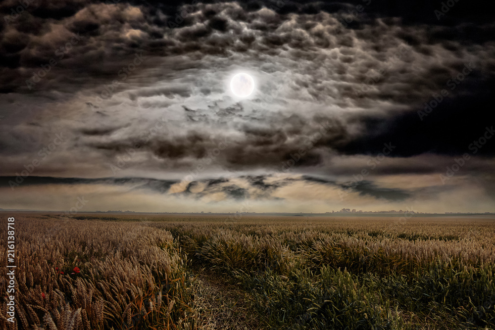 Moonlit night over the wheat field. The moon is among the dark clouds ...