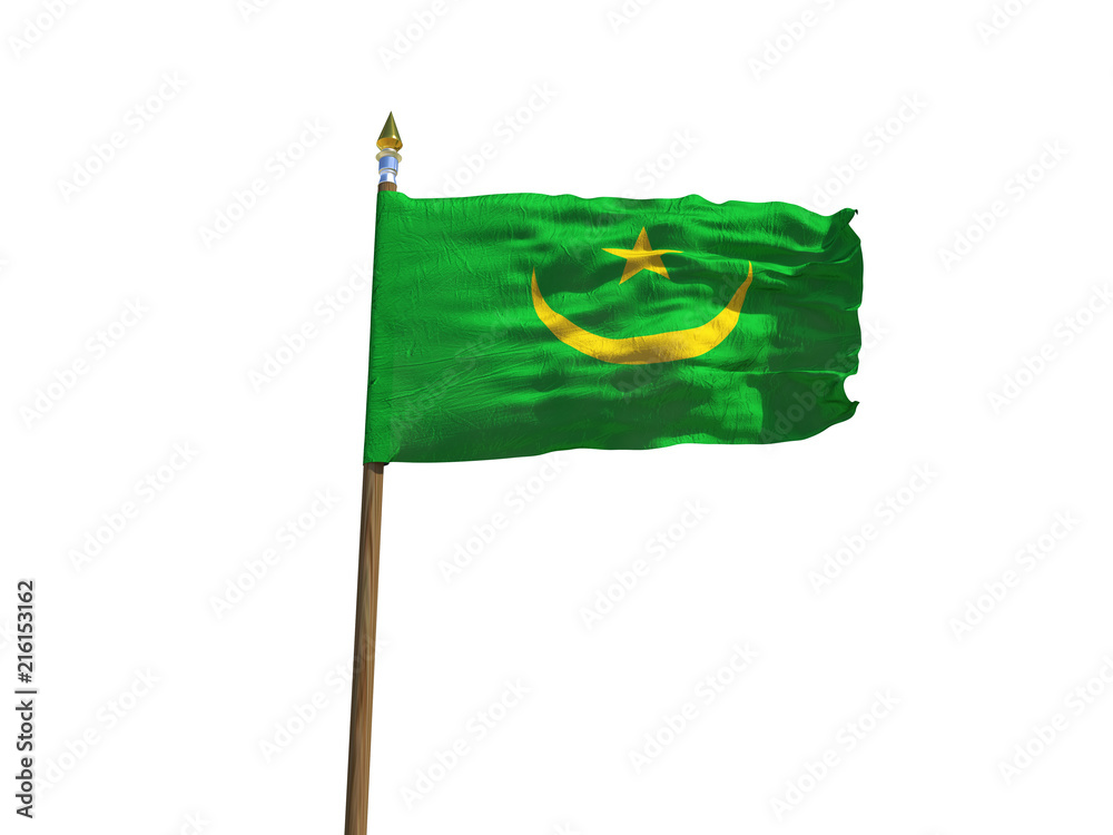 Real Islam Flag
