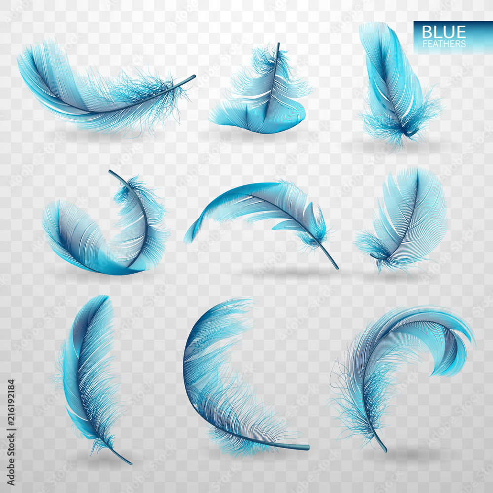 Set of isolated falling blue fluffy twirled feathers on transparent ...