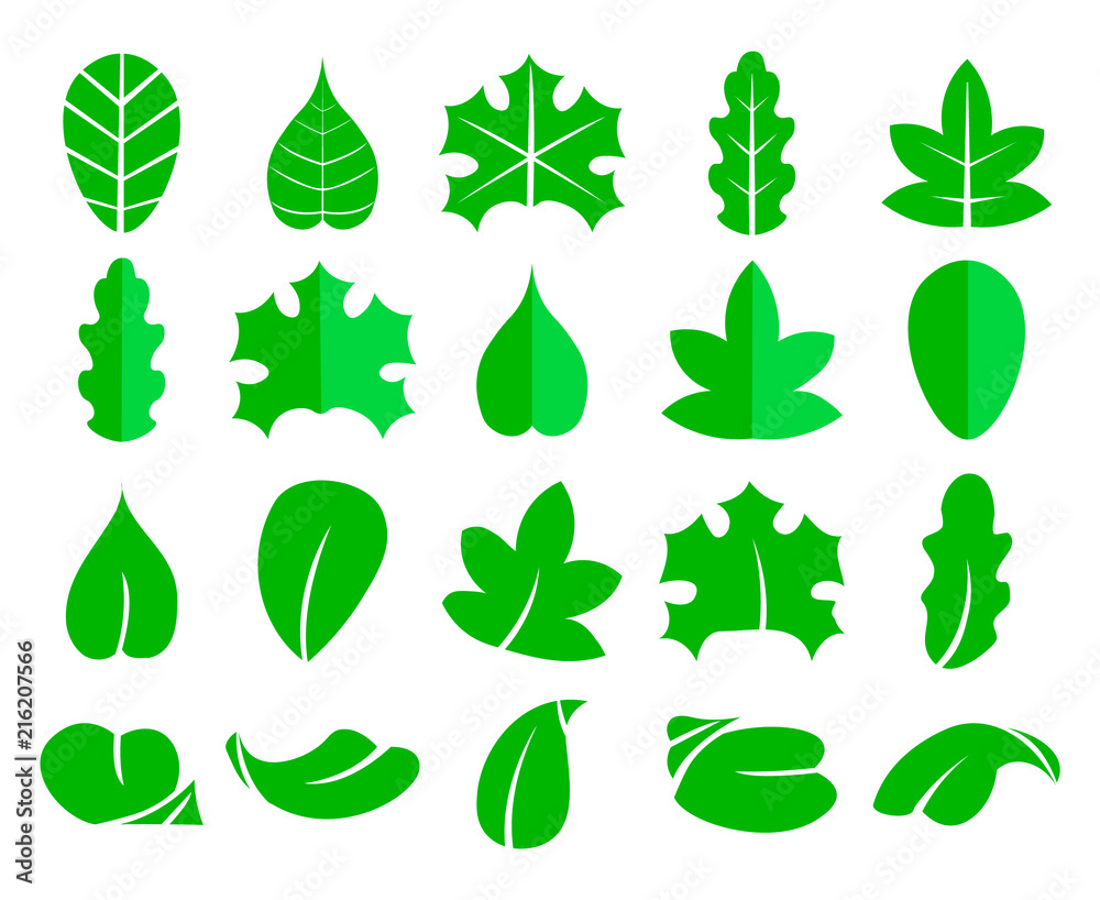 Different leaf set. Vector icons. Design eco elements isolate on white ...