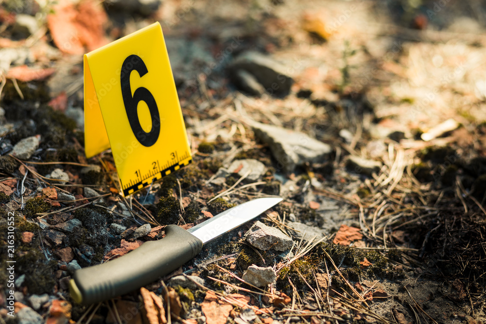 Fotka „Knife's in the woods. photos of the murder and the crime scene ...