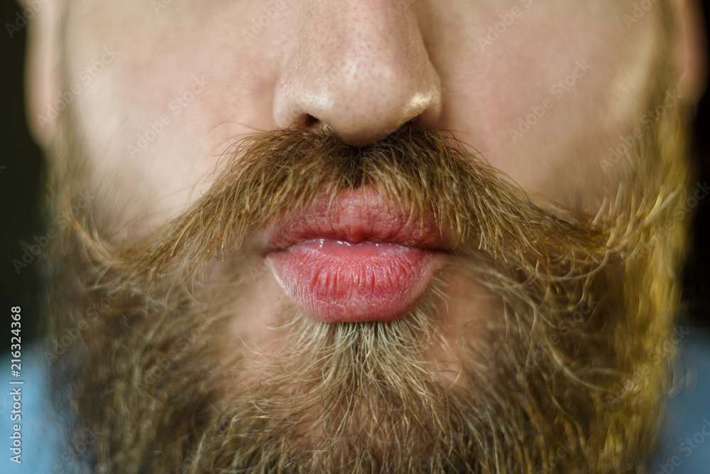 Lips for the Kiss of the Bearded Man. Attributes of the Appearance of a ...