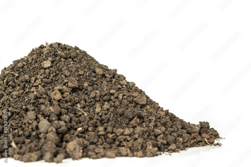 soil ground texture plant background Stock Photo | Adobe Stock