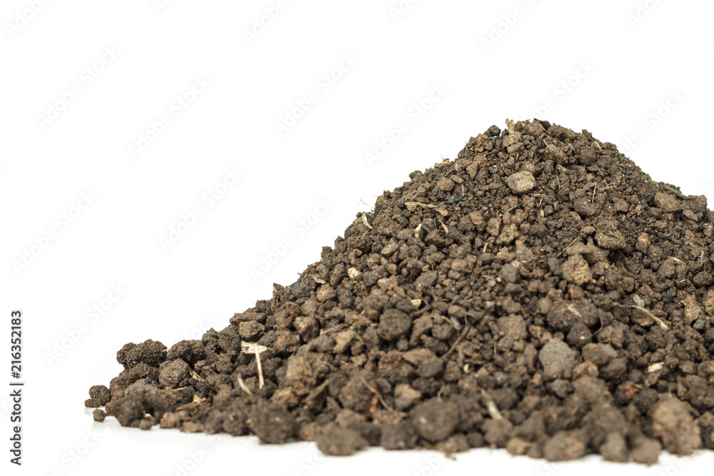 soil ground texture plant background Stock Photo | Adobe Stock