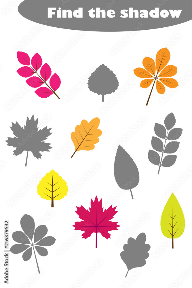 Find the shadow game with pictures of autumn leaves for children ...