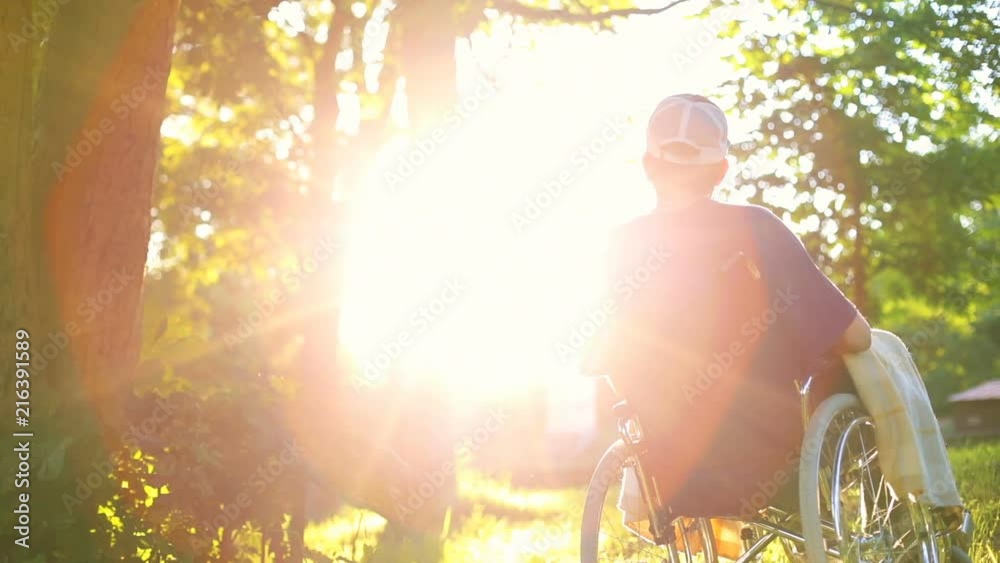 back view of young handicapped man sitting on wheelchair in green ...