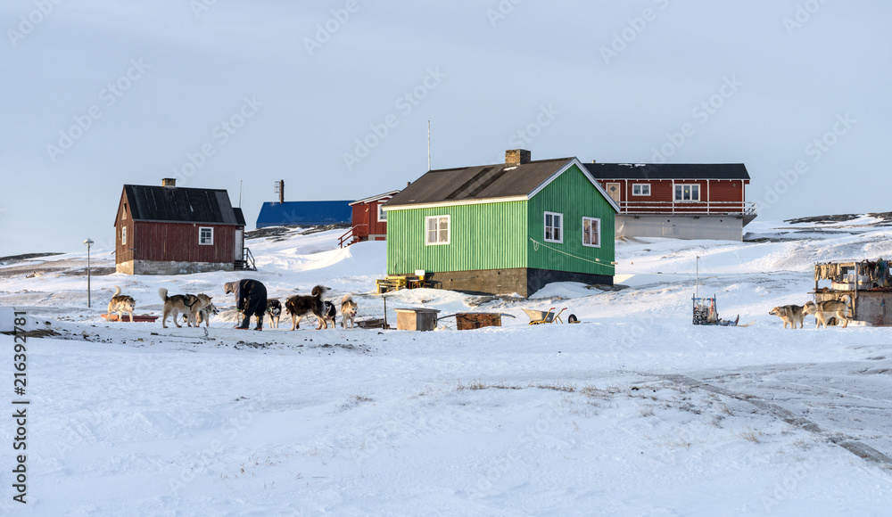 Colourful houses in the tiny inuit village of Oqaatsut in west ...