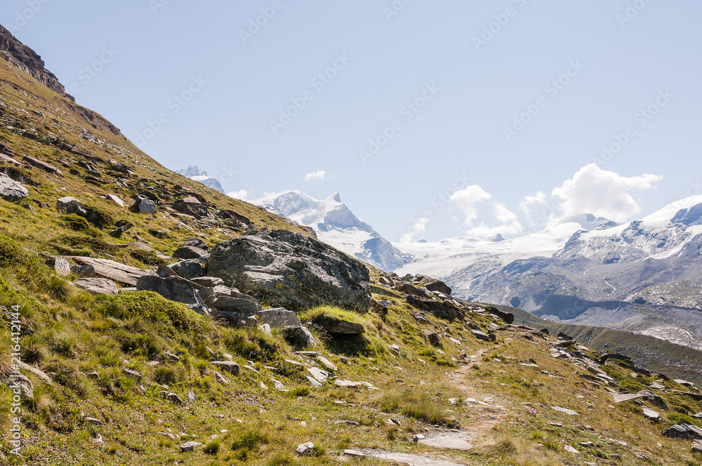 Zermatt, Adlerhorn, Findelgletscher, Wanderweg, Blauherd, Fluhalp ...