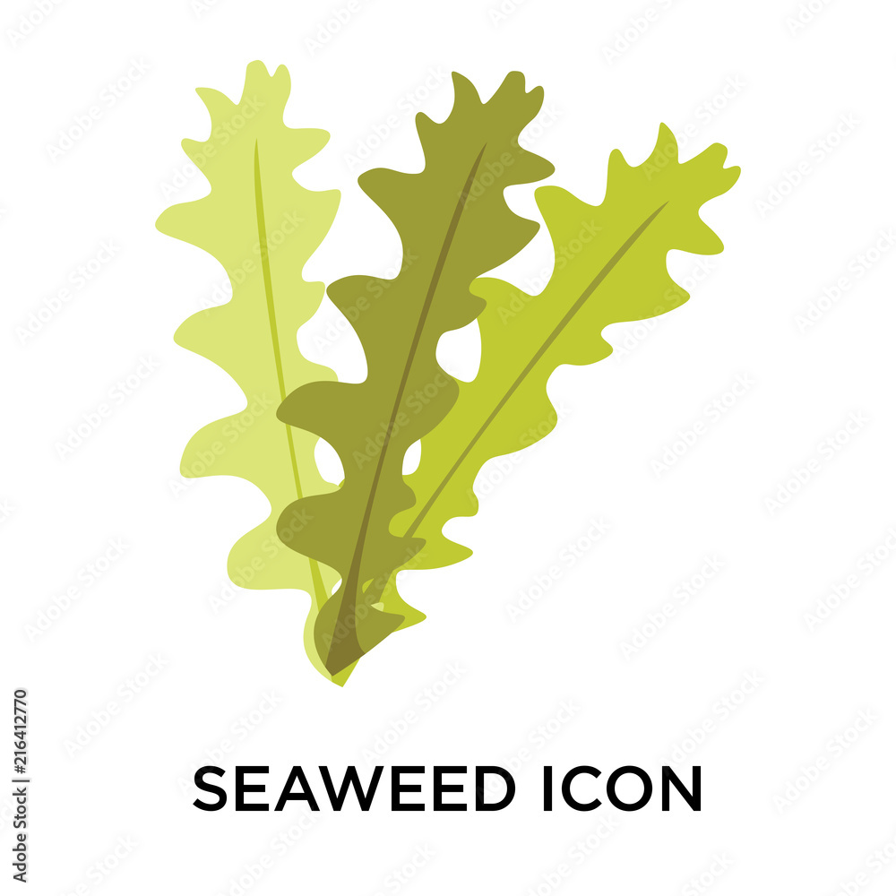 seaweed icons isolated on white background. Modern and editable seaweed ...